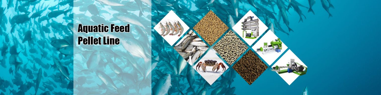 Delightful Shrimp Feed Production Line: A Tasty Treat for Your Aquatic ...